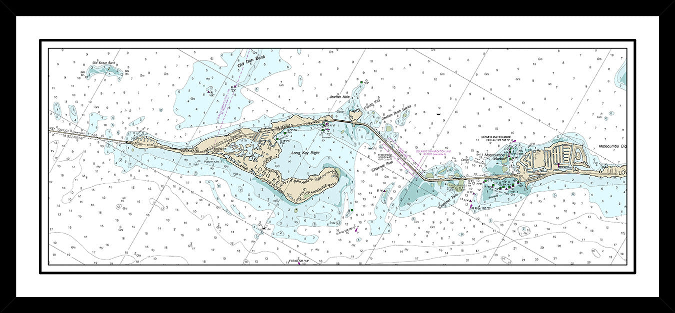 Official NOAA and NGA Nautical Charts